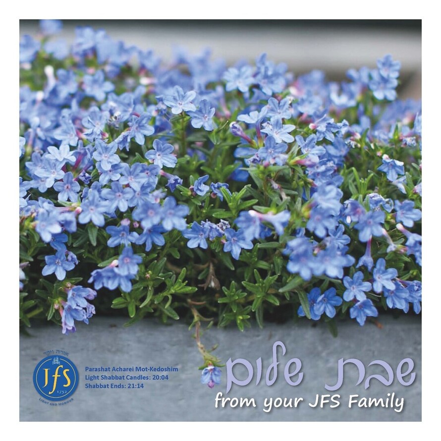 JFS - Profile (2023)