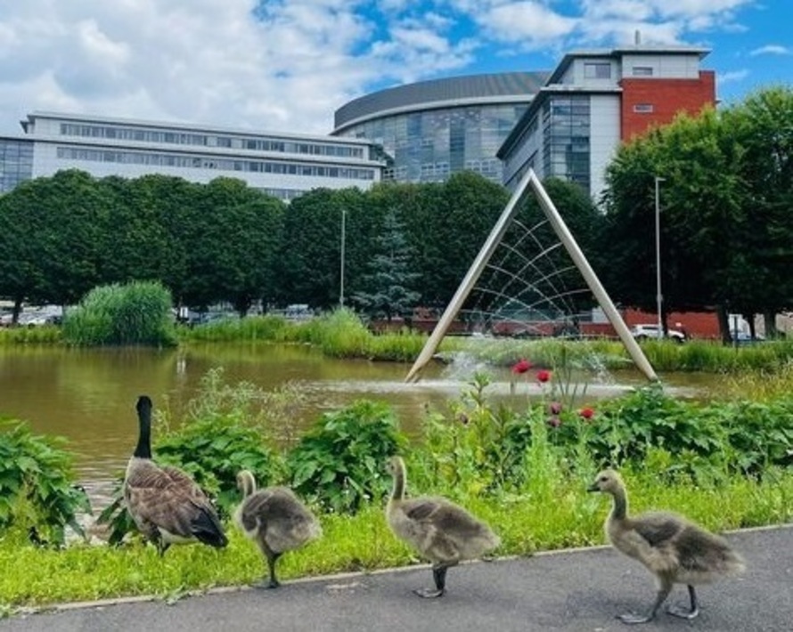 Aston University - Profile (2023)