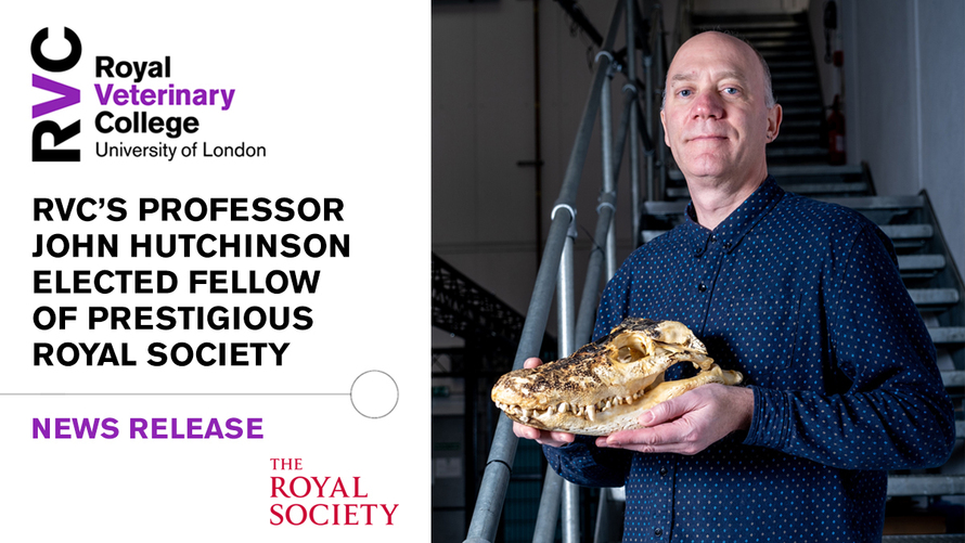 The Royal Veterinary College - Profile (2023)