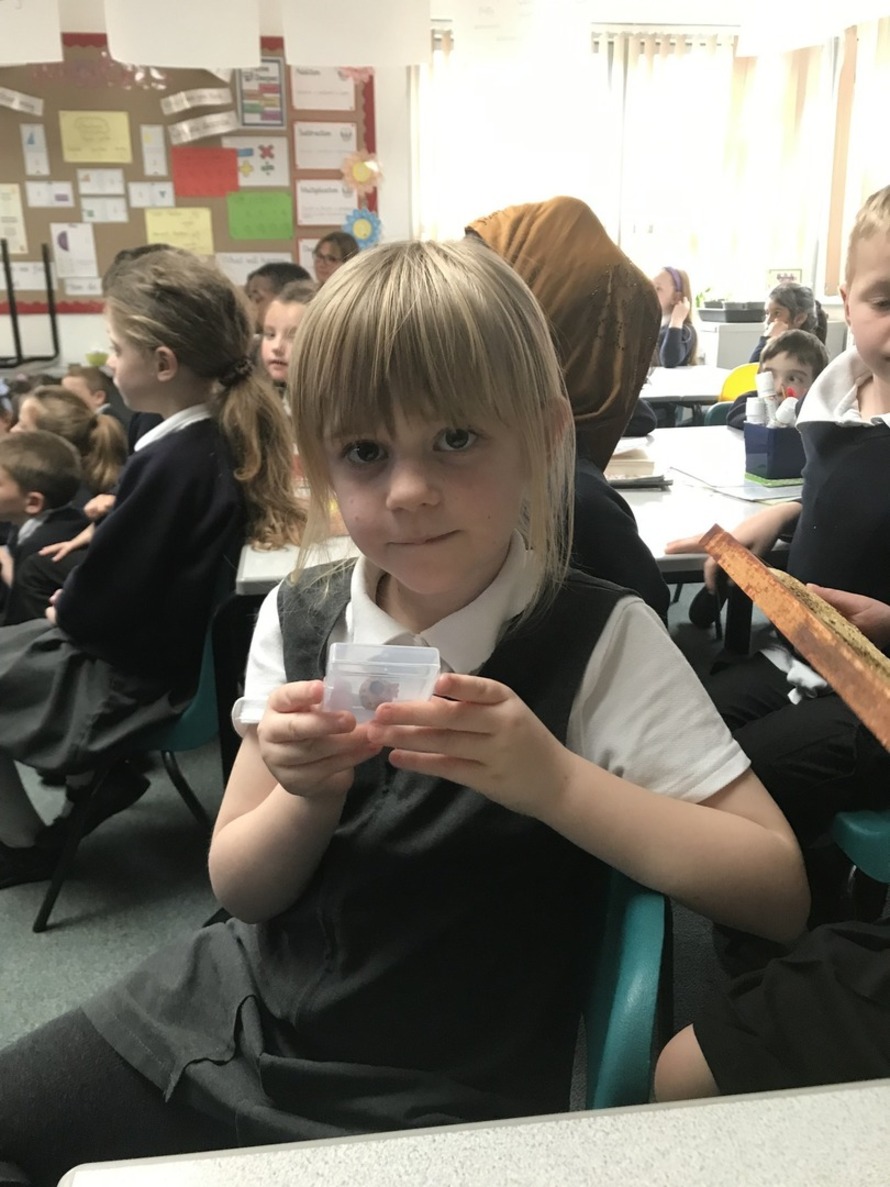 Broughton Fields Primary School - Profile (2024)