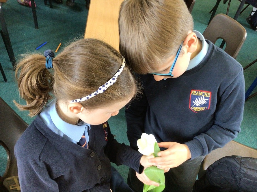 Franche Primary School - Profile (2023)