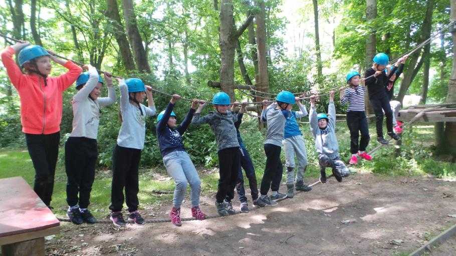 Bewdley Primary School - Profile (2023)