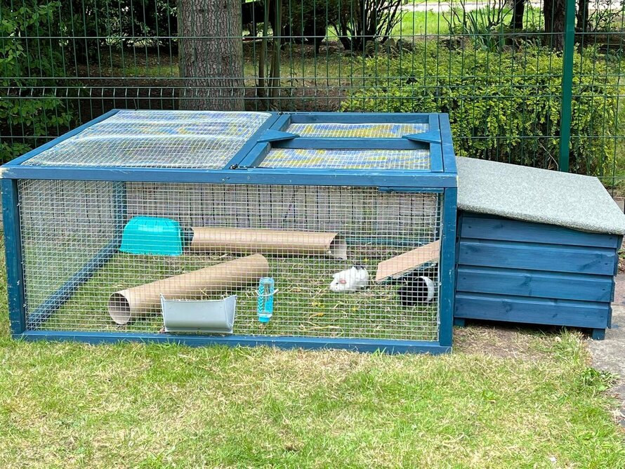 Demeter House - Profile (2024)