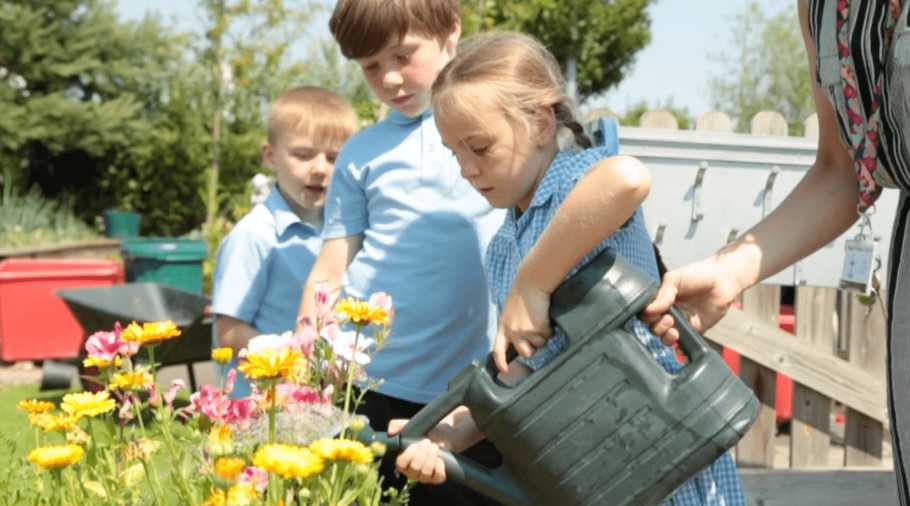 Hope Primary School - A Joint Catholic and Church of England Primary ...