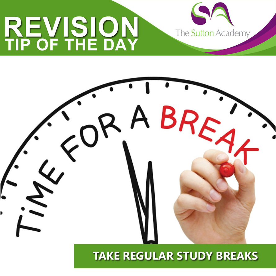 The Sutton Academy - Profile (2023)