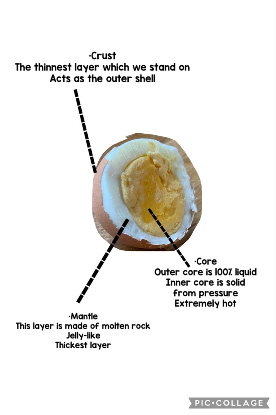 The Academy at Shotton Hall - Profile (2024)