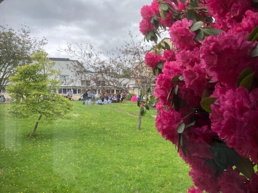 Torquay Girls Grammar School - Profile (2023)