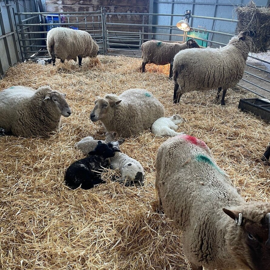 Redborne Upper School and Community College - Profile (2023)