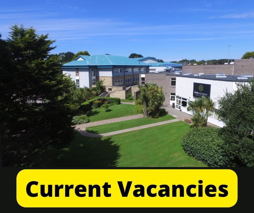 Pool Academy - Profile (2023)