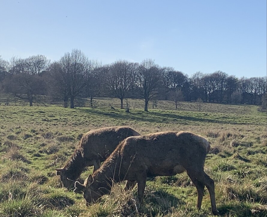 Congleton High School - Profile (2024)