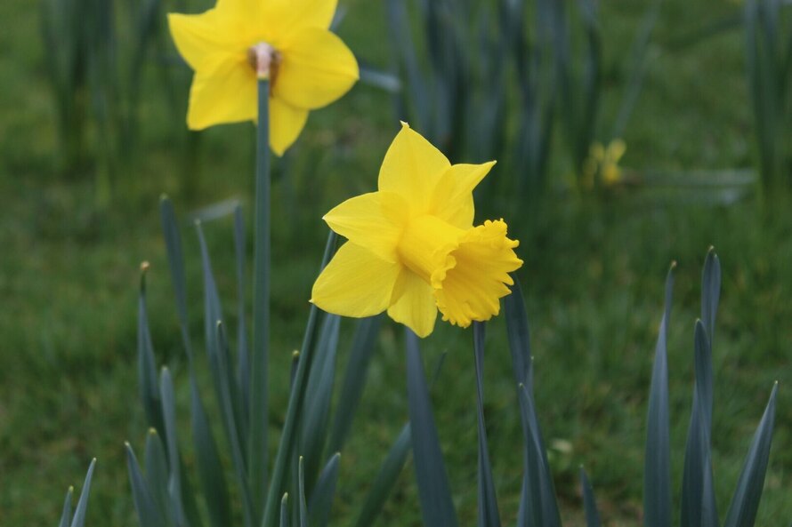 Congleton High School - Profile (2024)