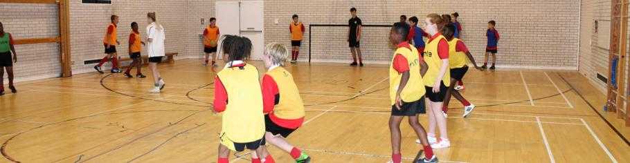 Shenley Brook End School - Profile (2023)