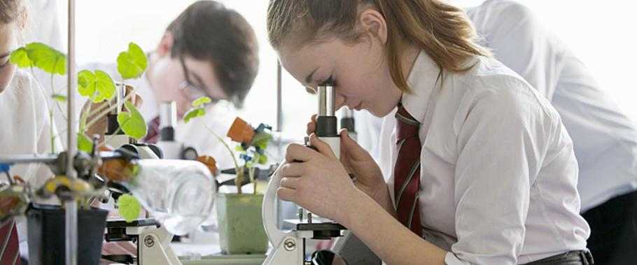 Ansford Academy - Profile (2023)