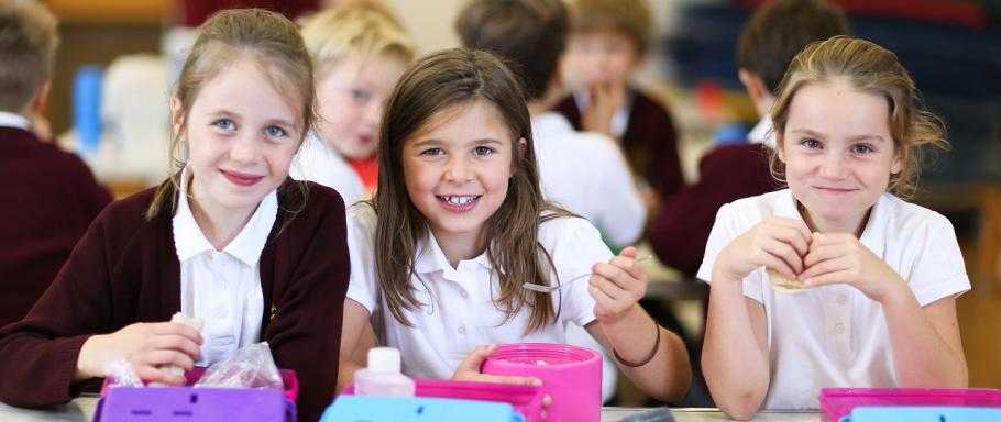 Wedmore First School Academy - Profile (2023)