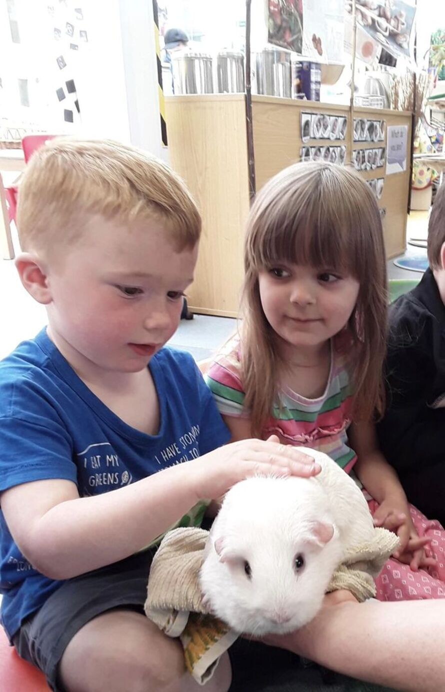 Treloweth Community Primary School - Profile (2024)