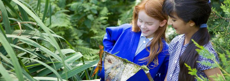 South Farnham School - Profile (2023)