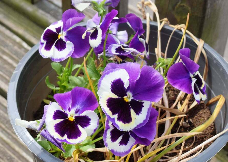 Lutterworth High School - Profile (2023)