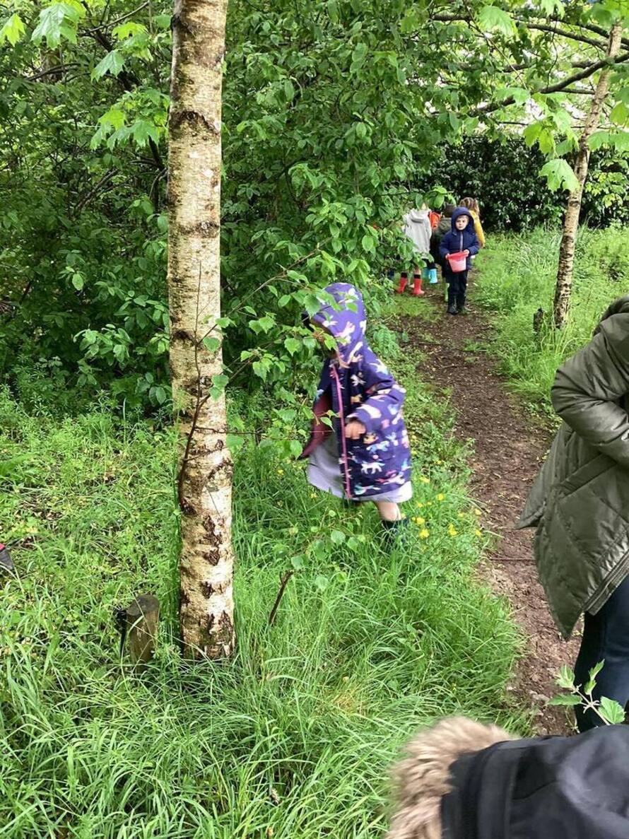 Best Schools in Wadebridge (2024)