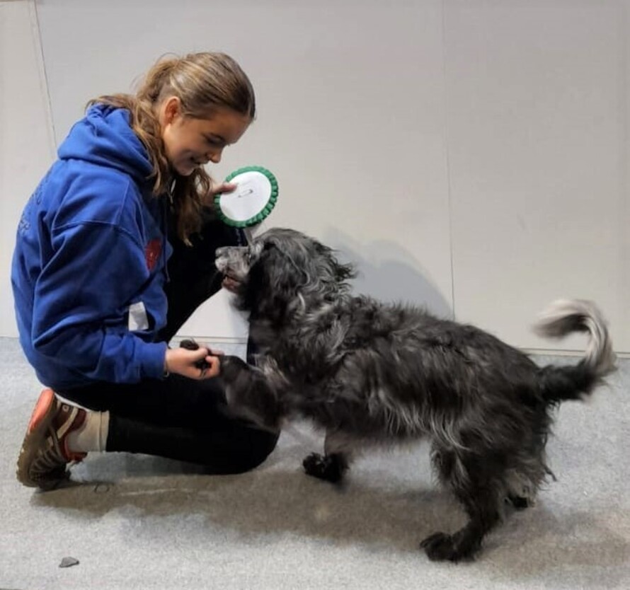 Dallam School - Profile (2023)