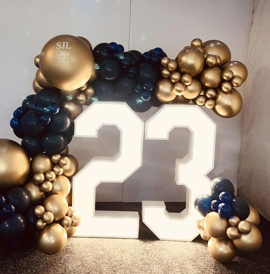 Sir John Lawes School - Profile (2023)