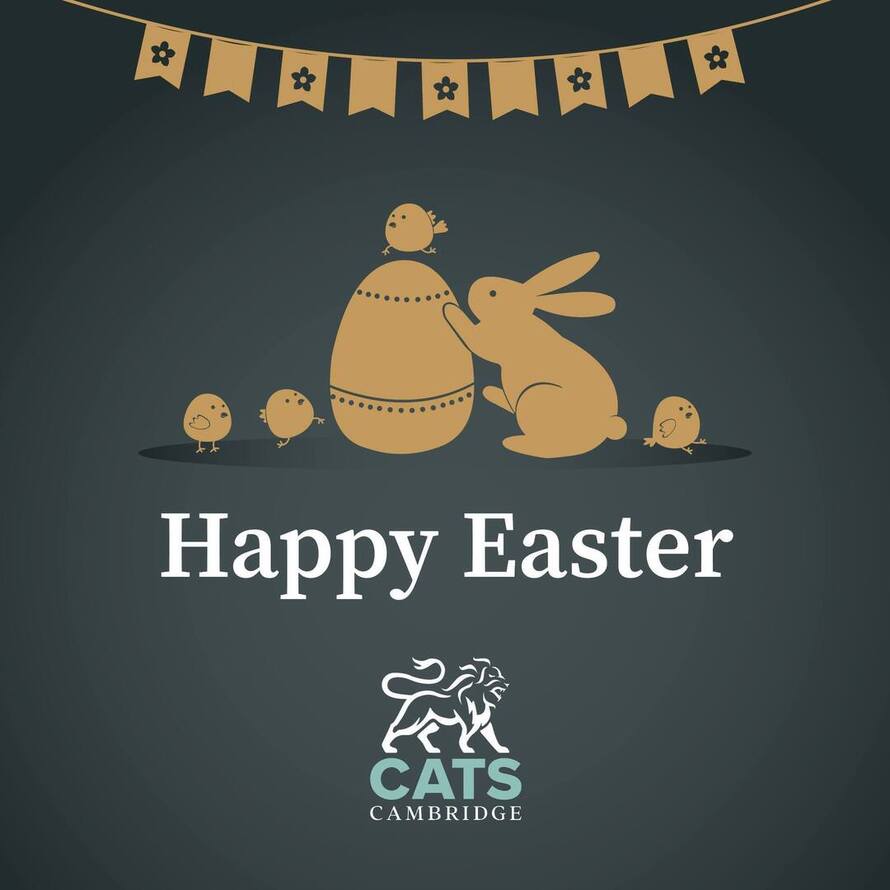 CATS College London - Profile (2023)