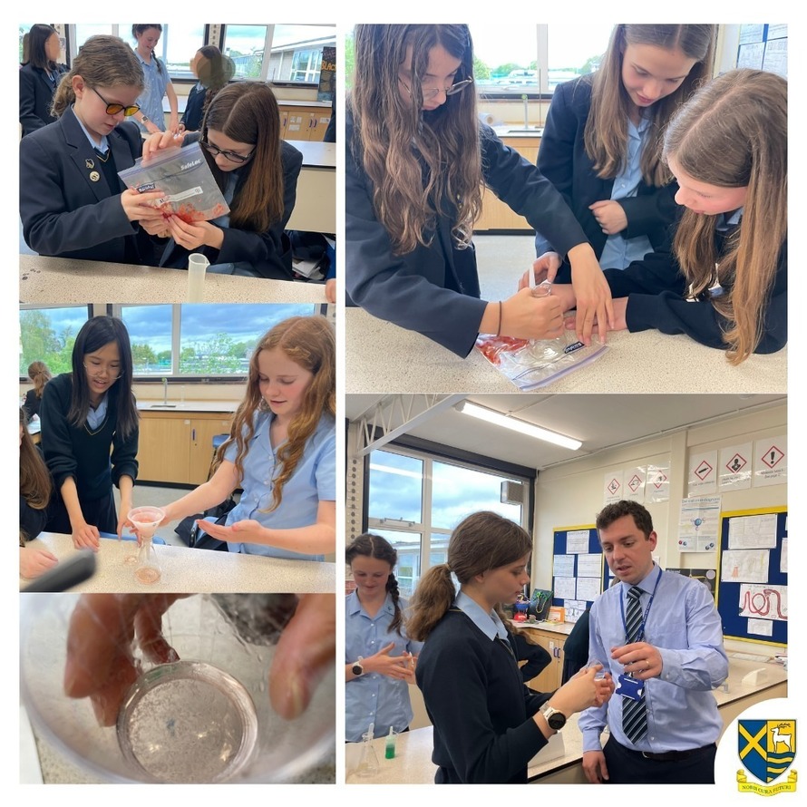 St Albans Girls' School - Profile (2024)