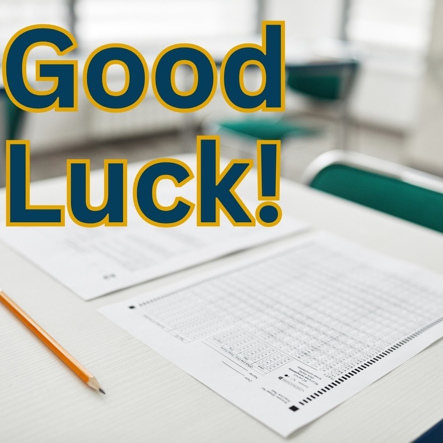 Dene Magna School - Profile (2024)