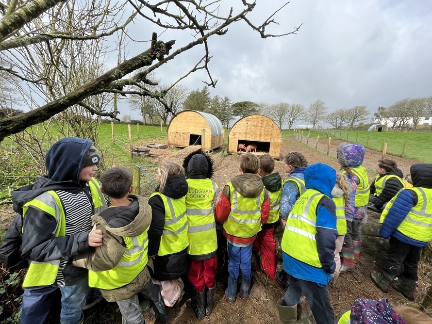 Ludgvan School Gallery: Photos of Campus Life, Activities, Classrooms