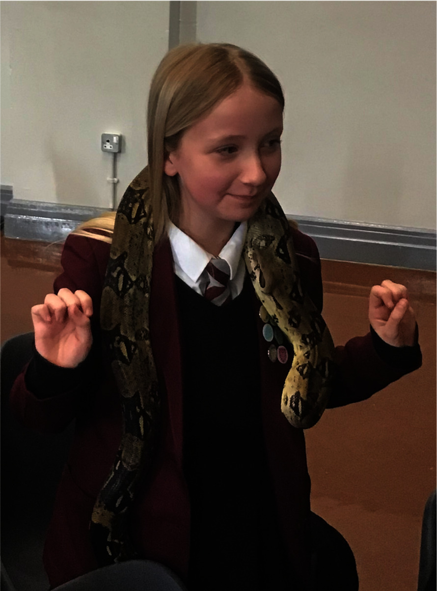 Hazel Grove High School - Profile (2023)