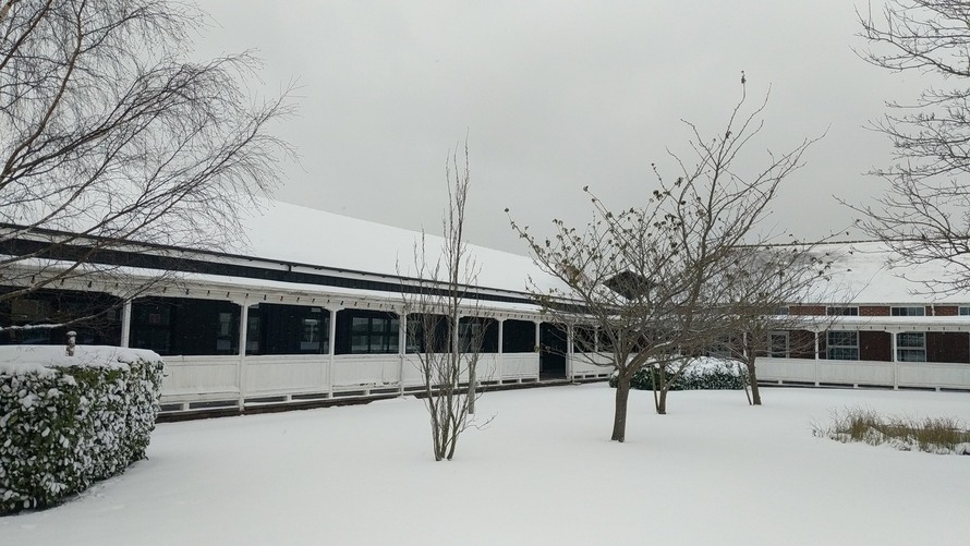 Manningtree High School - Profile (2023)