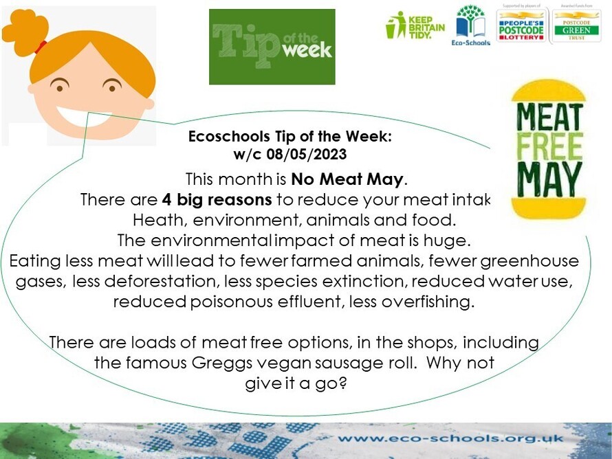 Ashfield Comprehensive School - Profile (2023)