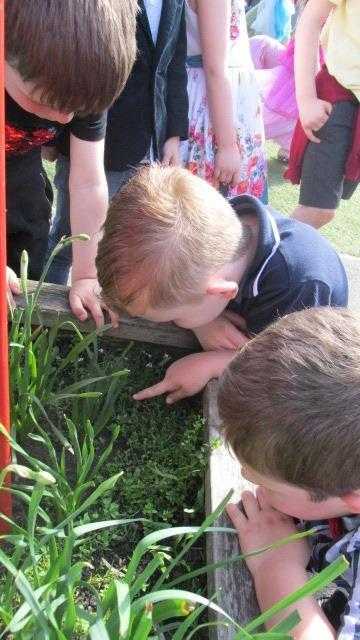 Signhills Infant Academy - Profile (2023)