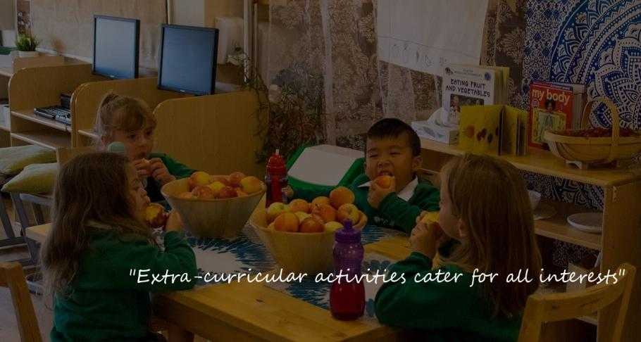 Ribbon School - Profile (2024)