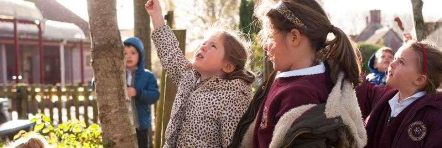 Cheddar First School - Profile (2024)