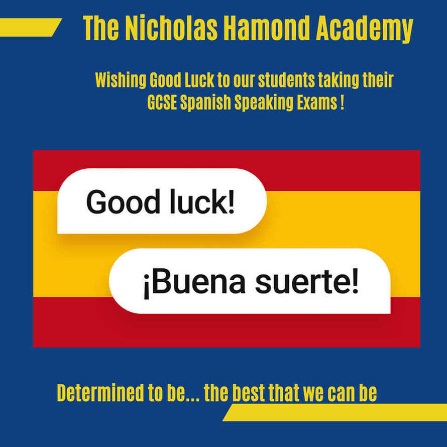 The Nicholas Hamond Academy - Profile (2024)