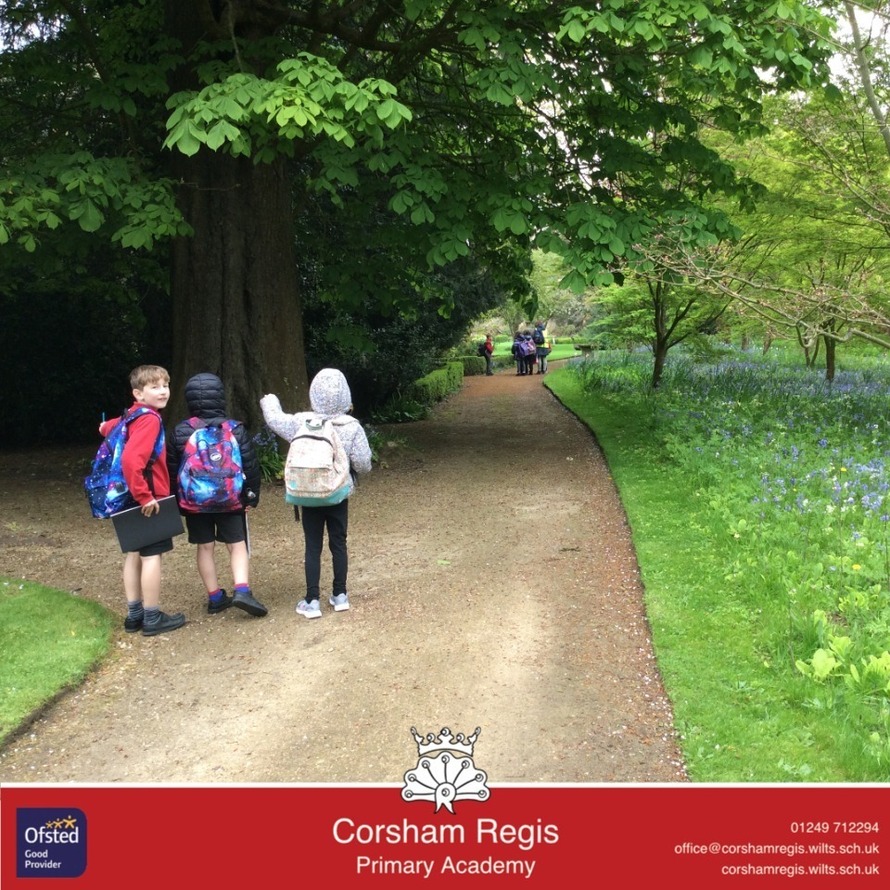 The Corsham Regis Primary Academy - Profile (2023)