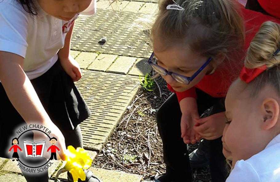 New Chapter Primary School - Profile (2023)