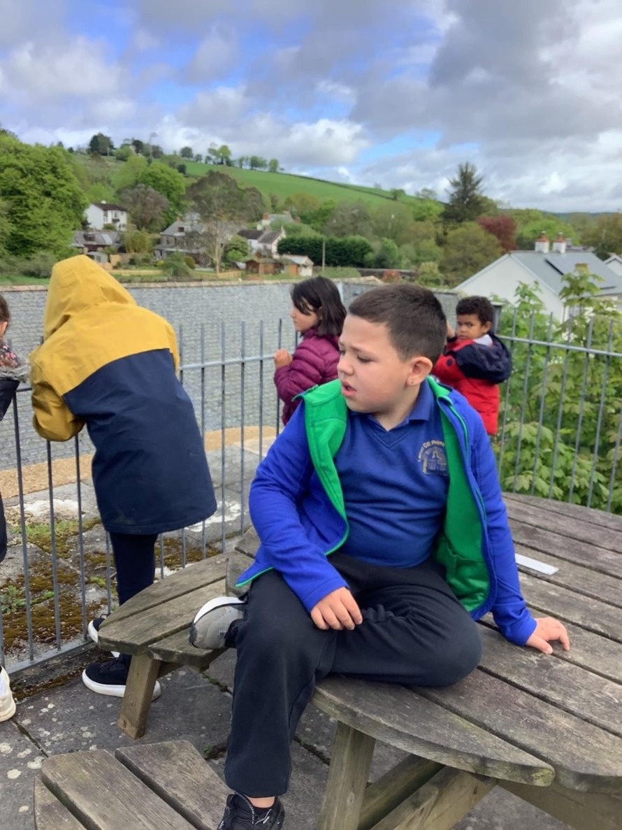 Lerryn CofE Primary School - Profile (2023)