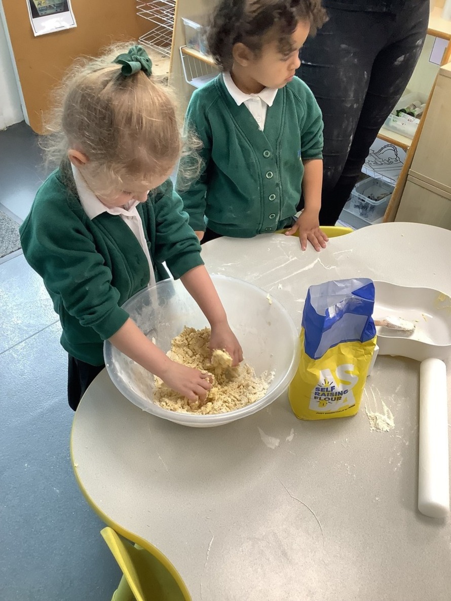 The Forest Academy - Profile (2024)