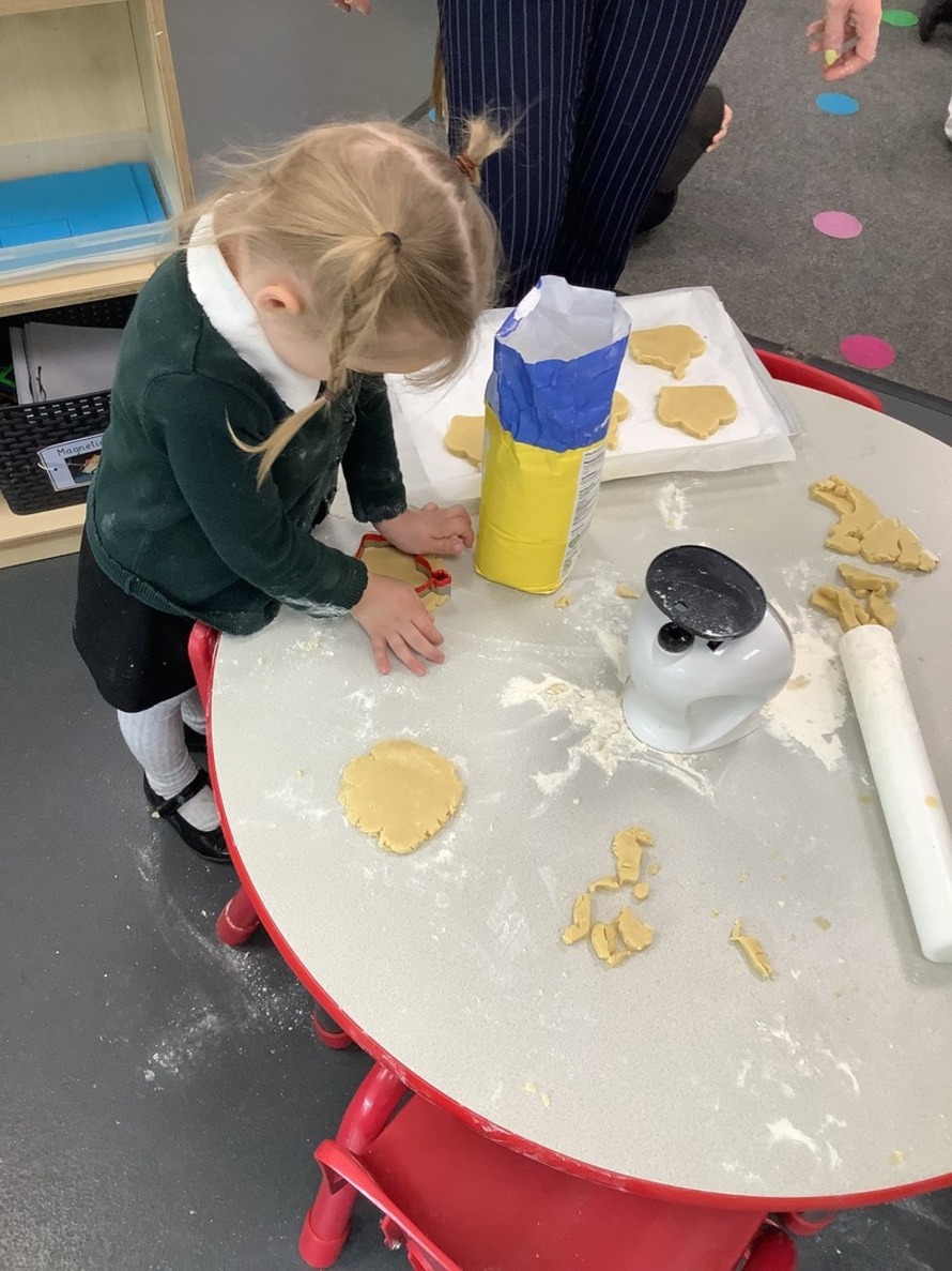 The Forest Academy - Profile (2024)