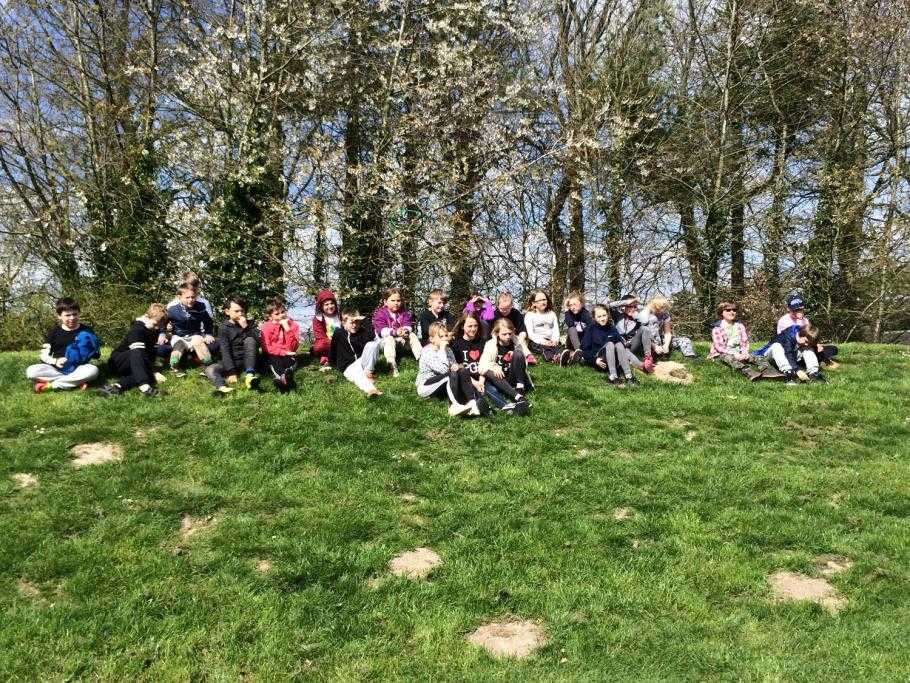 Forest View Primary School - Profile (2023)