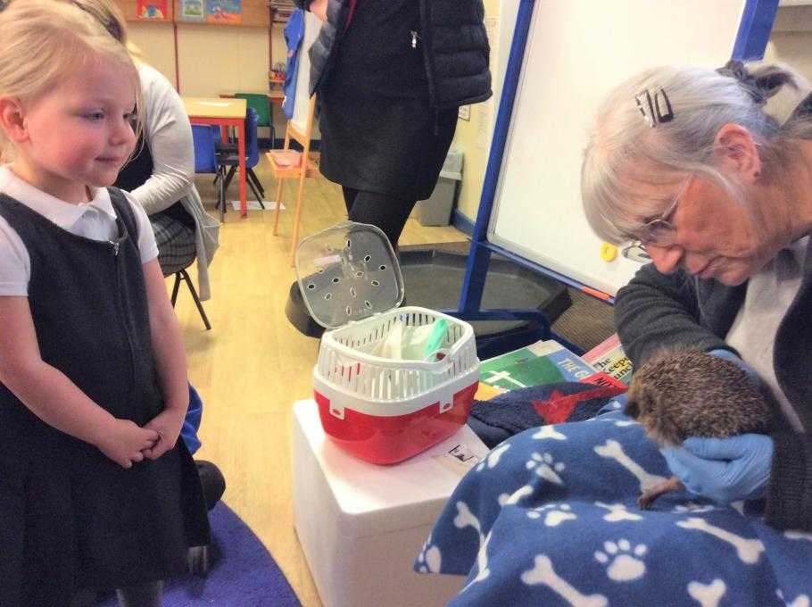 Tuxford Primary Academy - Profile (2024)