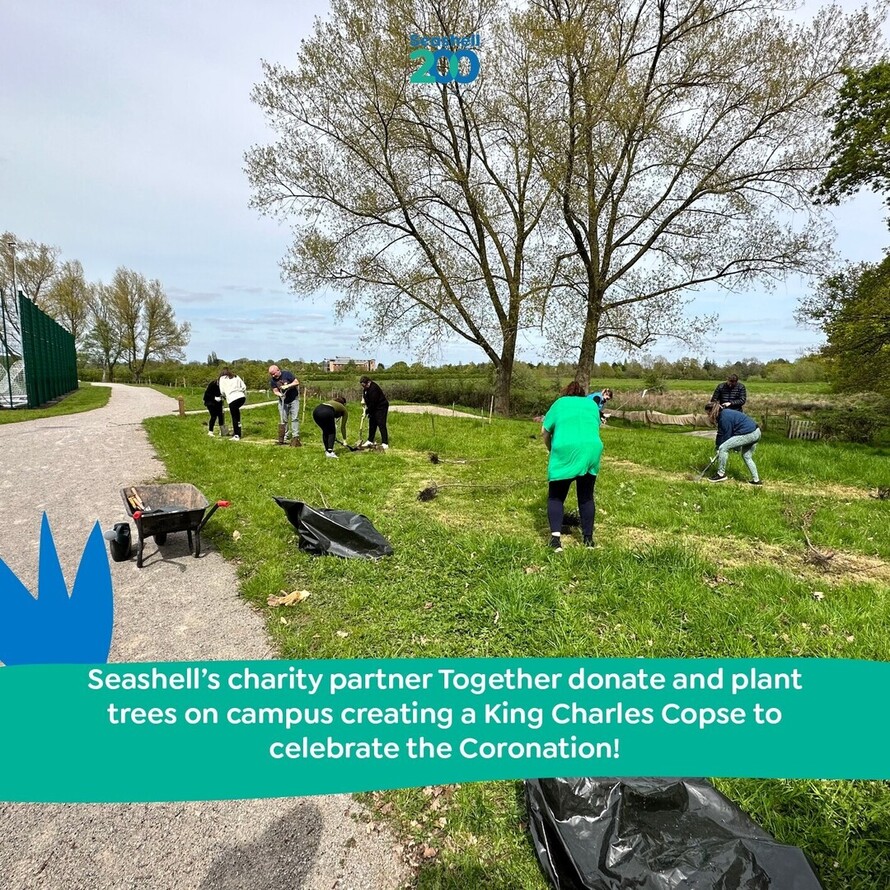 Royal College Manchester (Seashell Trust) - Profile (2023)