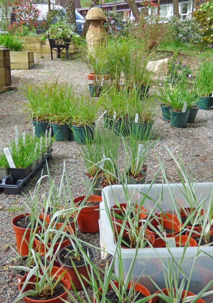 Sheiling College - Profile (2024)