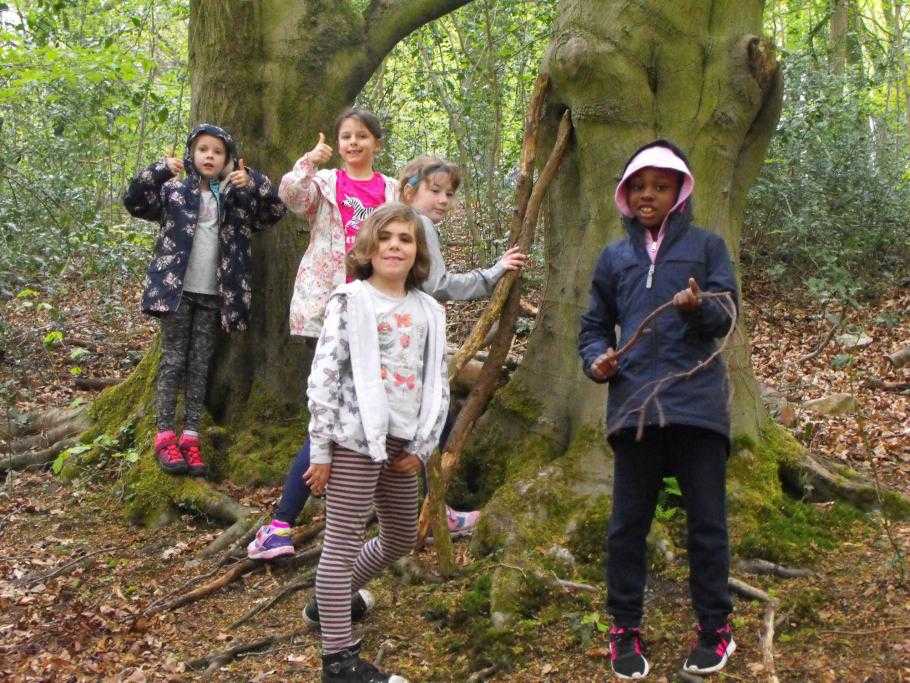 Stonebow Primary School Loughborough - Profile (2023)