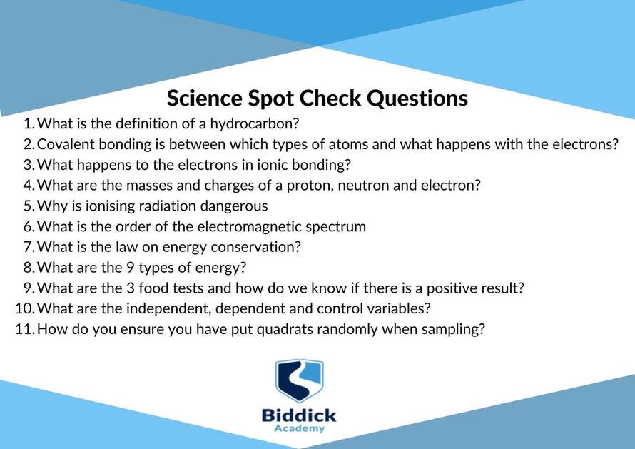 Biddick Academy - Profile (2023)