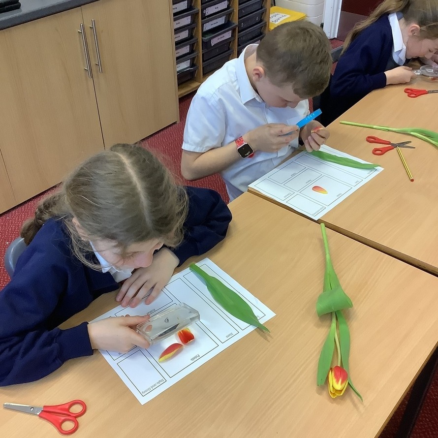 Reynolds Primary Academy - Profile (2023)