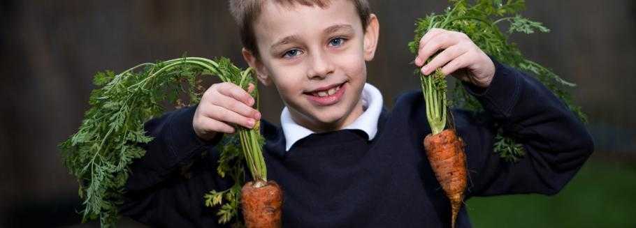 Chivenor Primary School - Profile (2024)