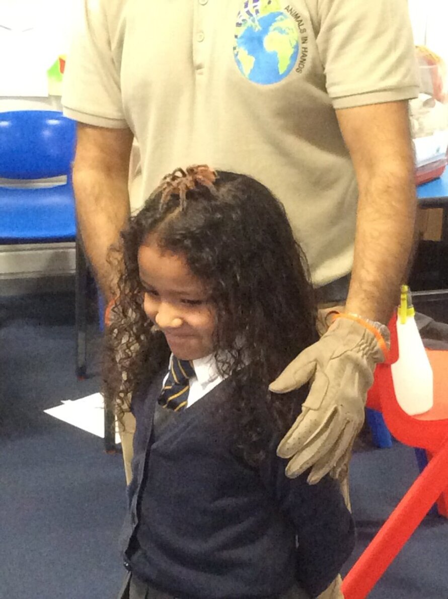 Chivenor Primary School - Profile (2023)