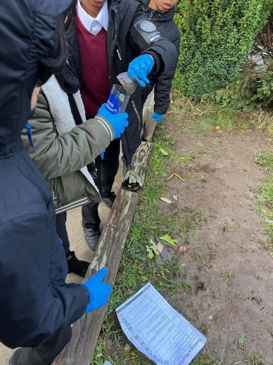 Seraphic Academy - Profile (2023)